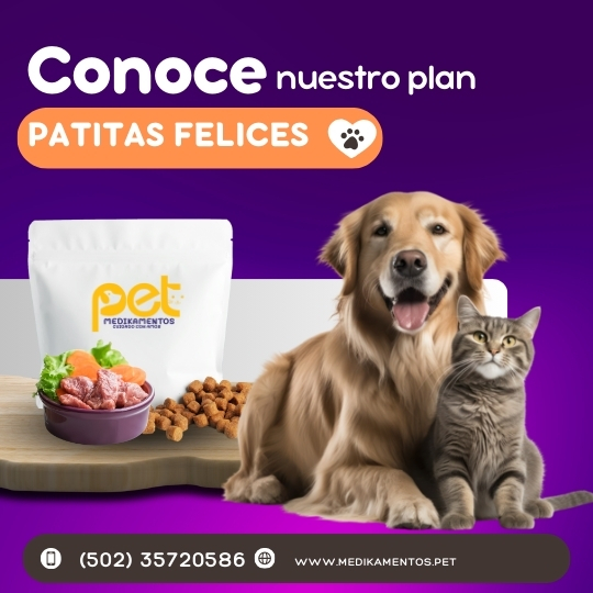 Dermolan Fuerte Analgesico Anti inflamatorio Tubo de 50 gramos ...